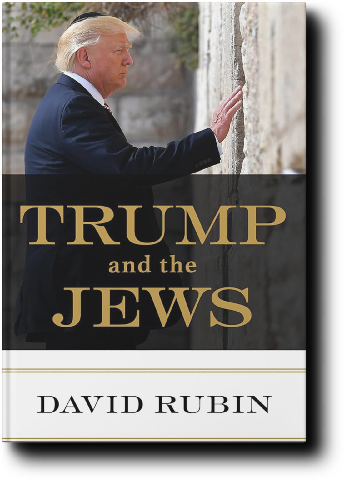 David Rubin | The Trusted Voice of Israel
